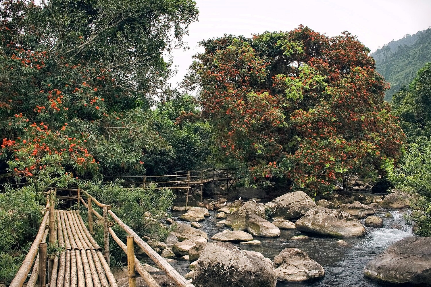 Mooc Spring: The ideal destination for eco-tourism in Quang Binh